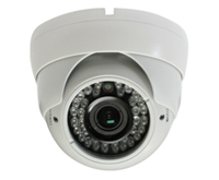 Tyger Security Ltd - Products and Services